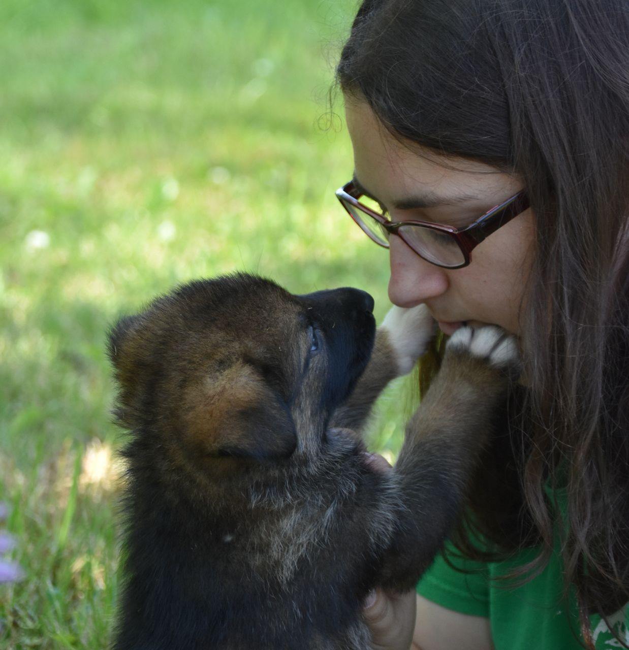 Old Dogs New Tricks Dog Training – Enriching the lives of dogs of all ...